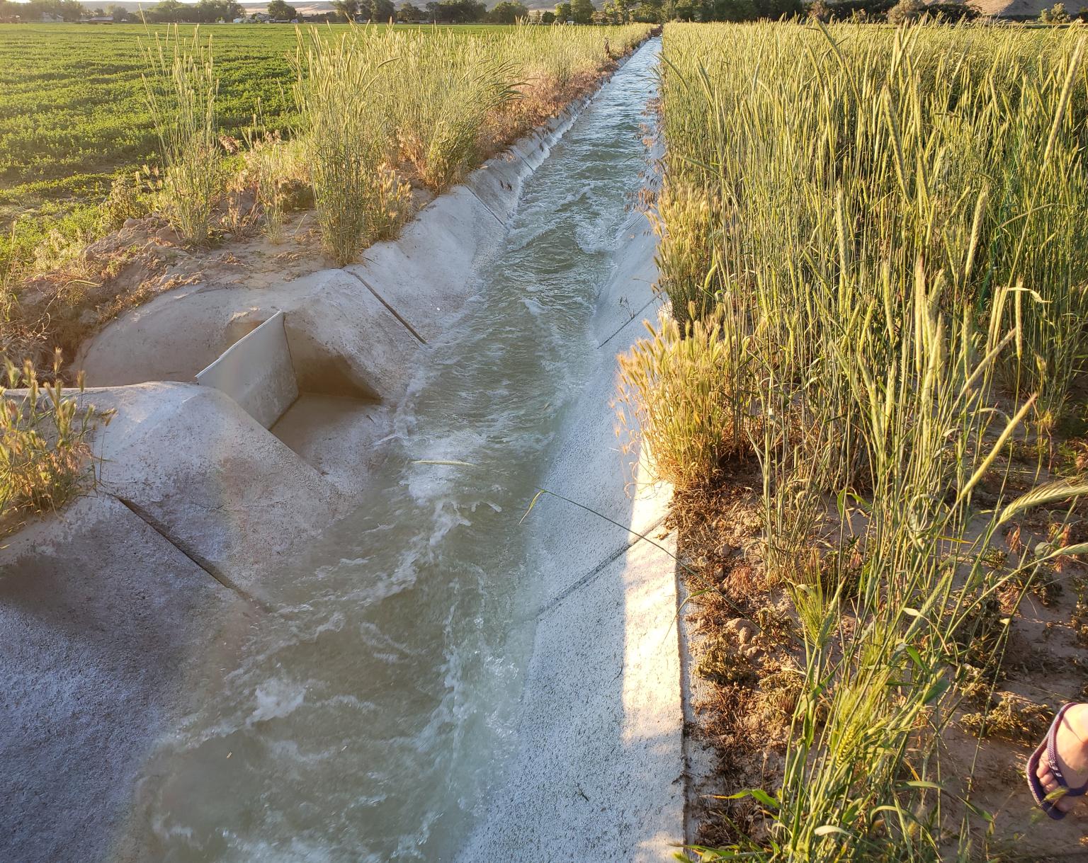 Interesting Ditch – Jones Concrete